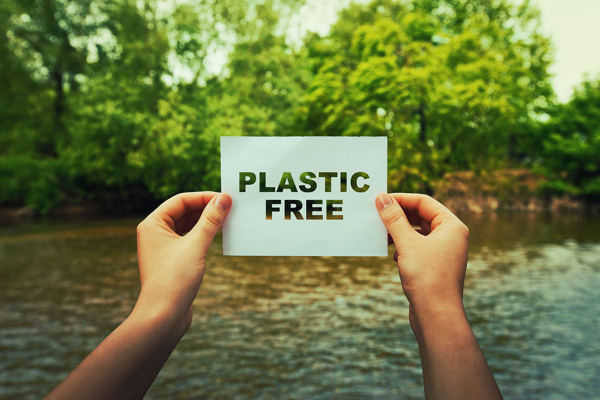 Introducing a plastic free future - ConviStore